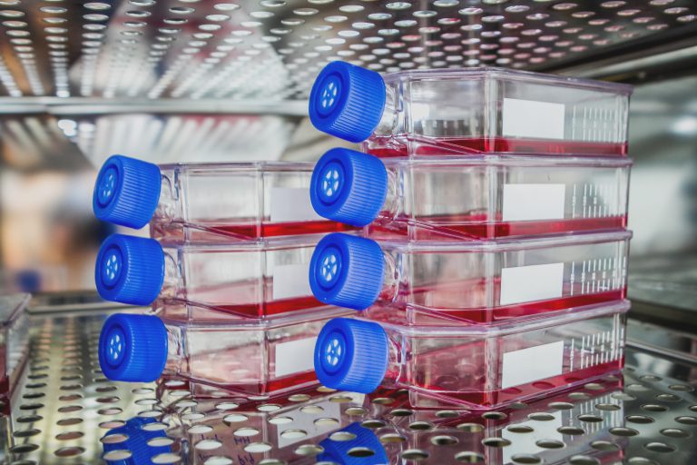 Welcome to Vector Biolabs – Your Trusted Partner in Gene Delivery